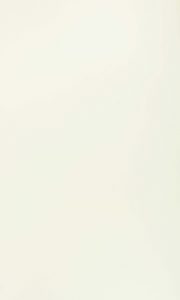 "Mysore Ivory - Archidply: Transform Your Space"